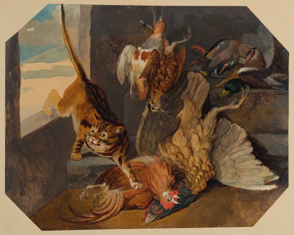 Stillleben mit toten Vögeln und Katze - Charles William Hamilton ...