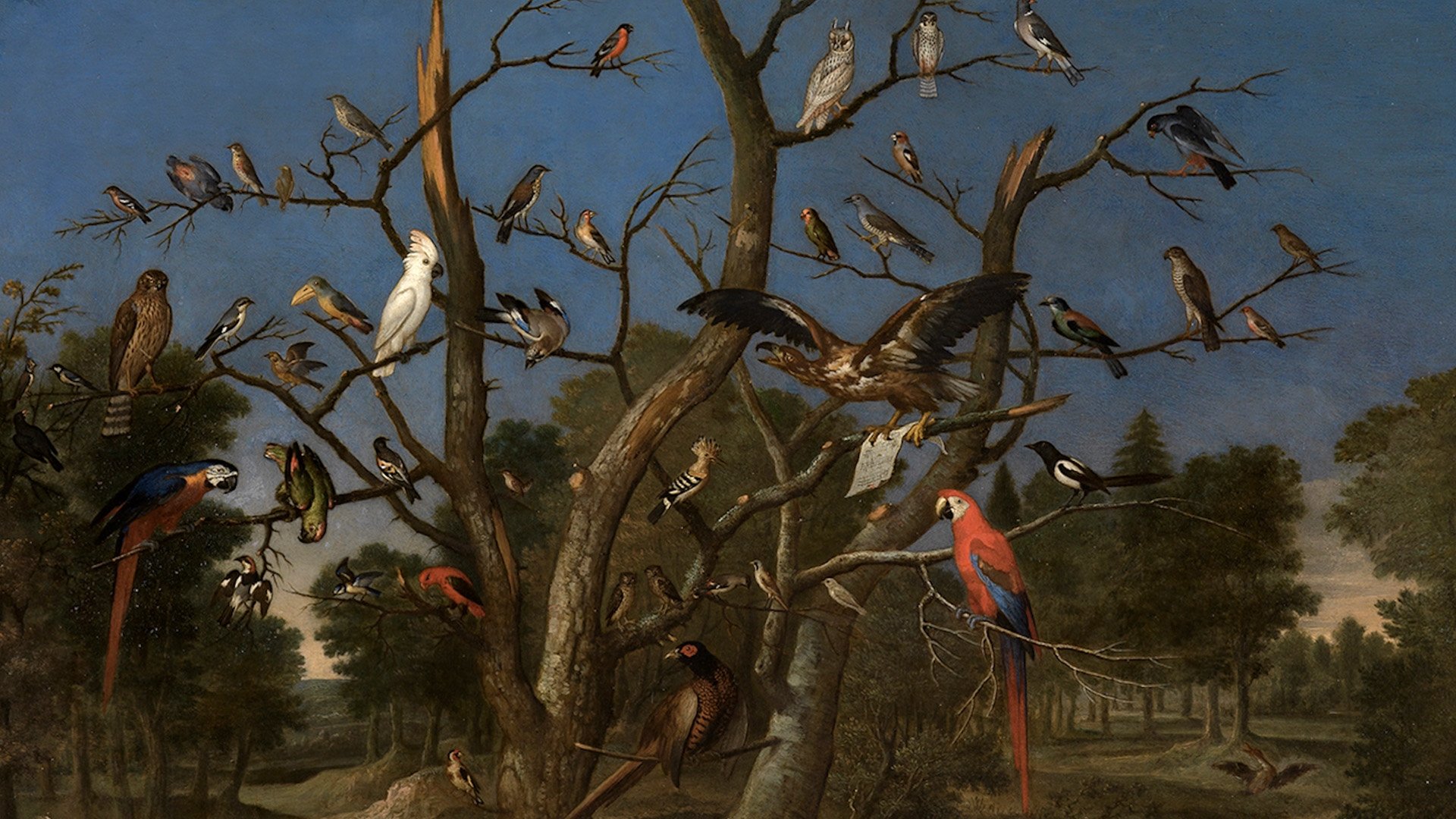 Jan Wagner - Staatliche Kunsthalle Karlsruhe